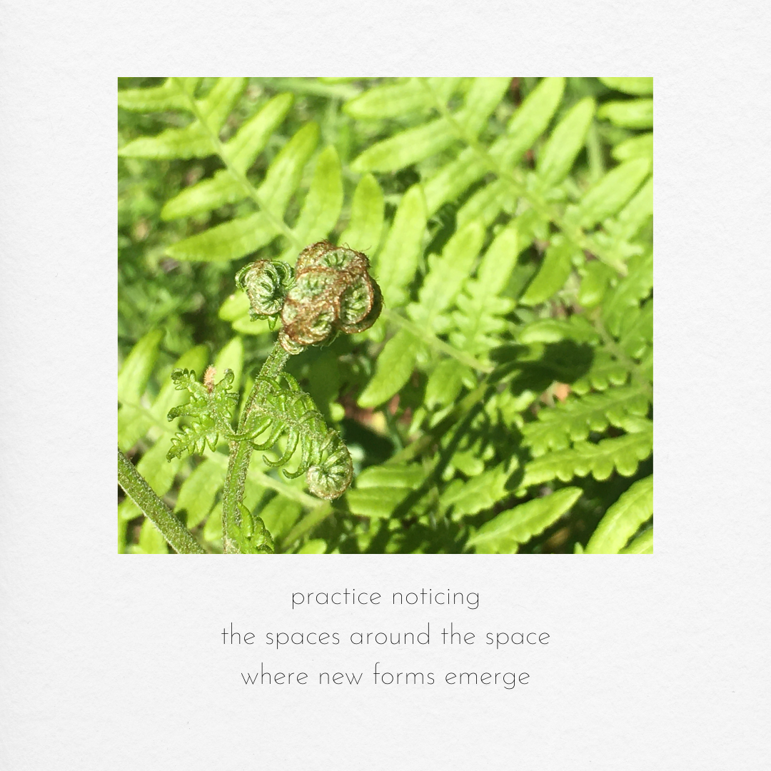 practice-noticing – Embody Peacebuilding